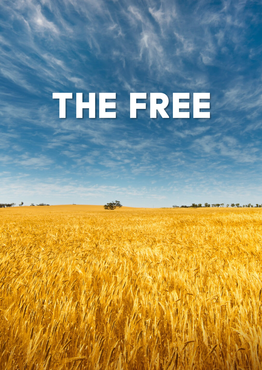 The Free - Ukrainian Producers Hub